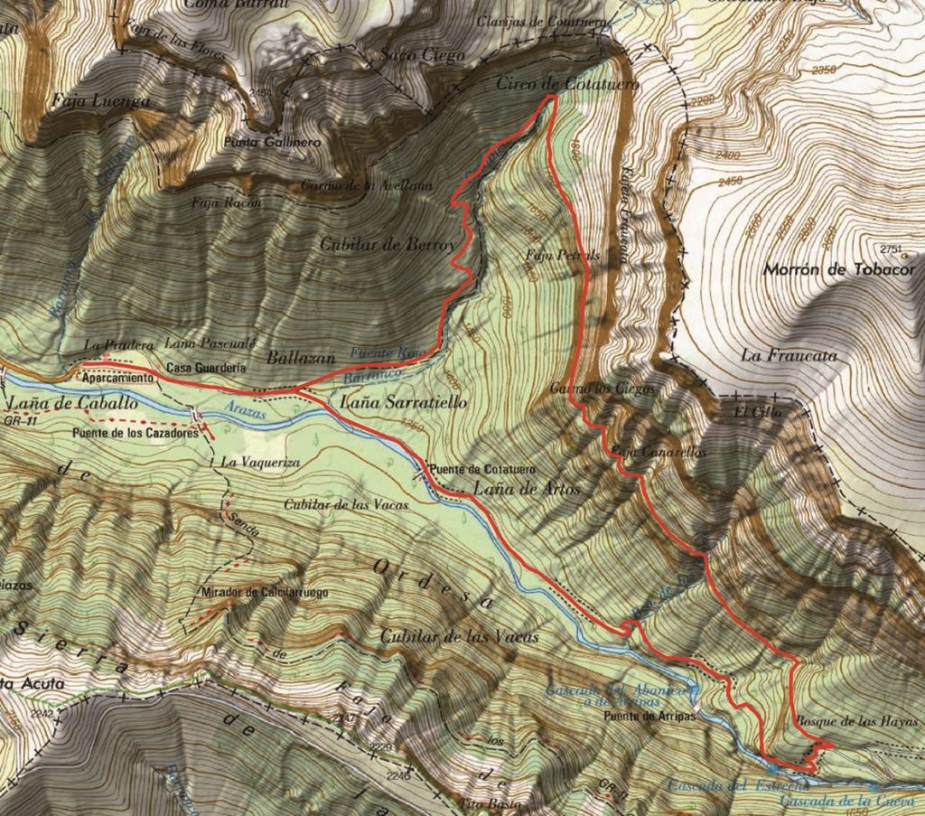 Ordesa – Brachypodium 2019
